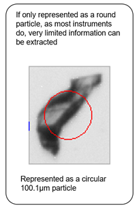 Shape Module - Particle Shape Particle Size