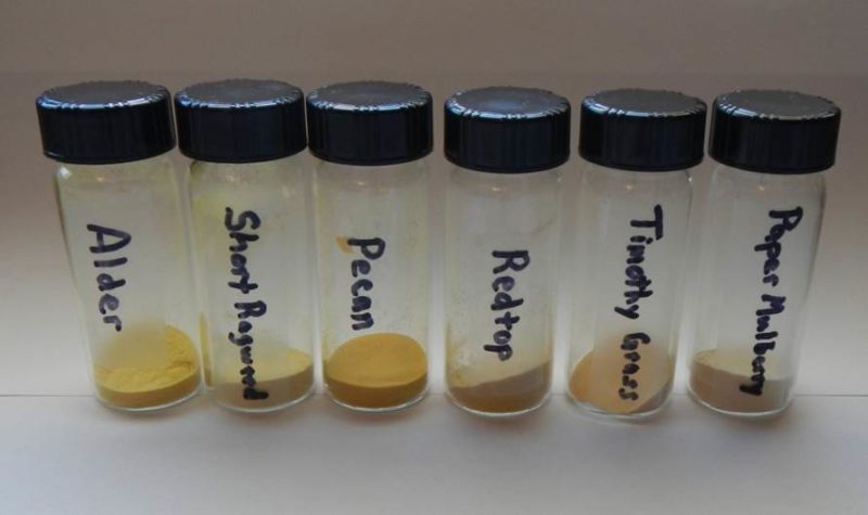 PARTICLE SHAPE APPLICATION EXAMPLE: Pollen - Particle Shape Particle Size