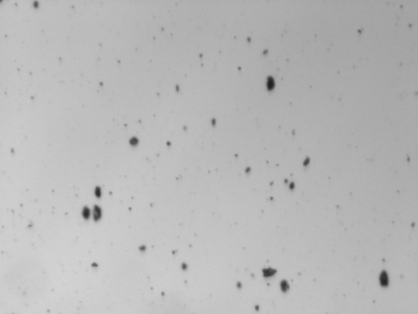 PARTICLE SHAPE APPLICATION EXAMPLE: Ocean Sediments - Particle Shape Particle Size