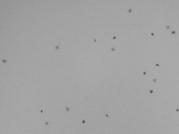 PARTICLE SHAPE APPLICATION EXAMPLE: Diamond Abrasives - Particle Shape Particle Size