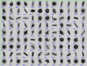 Significance - Particle Shape Particle Size