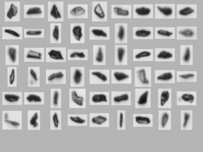 Individual particle thumbnail images - Particle Shape Particle Size