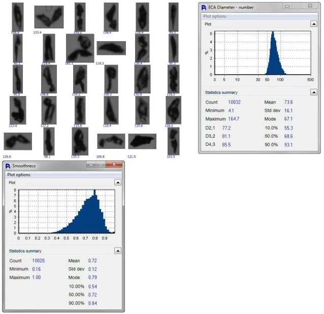 How different particle shapes impact results using different techniques