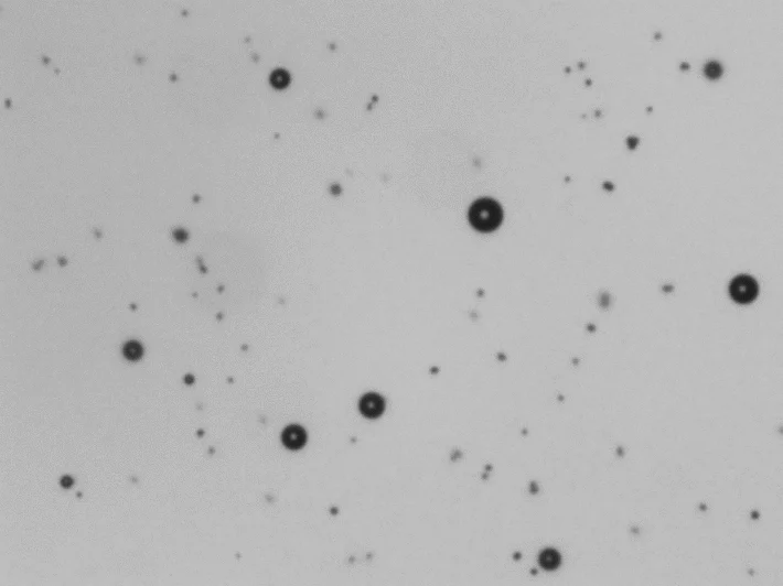 How different particle shapes impact results using different techniques