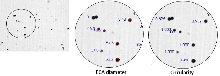 How different particle shapes impact results using different techniques