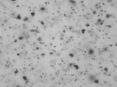 How different particle shapes impact results using different techniques