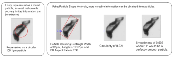 The importance of Particle Shape and Size