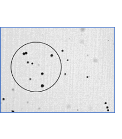 Polystyrene latex used for particle size and particle shape analysis