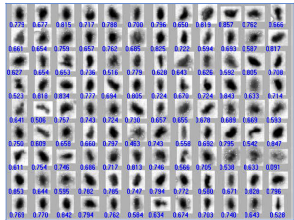 Implement Particle Size and Shape into your Manufacturing Process