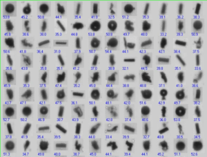 Particle Size and Particle Shape of Portland Cement