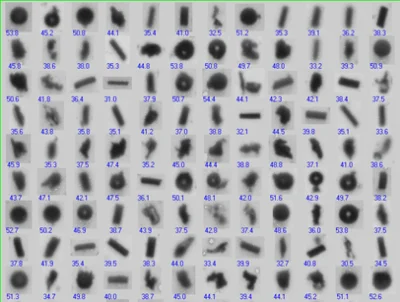 The importance of Particle Shape and Size
