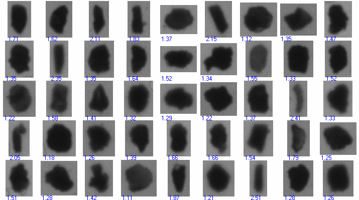 Chromatography Packing Materials | Particle Shape